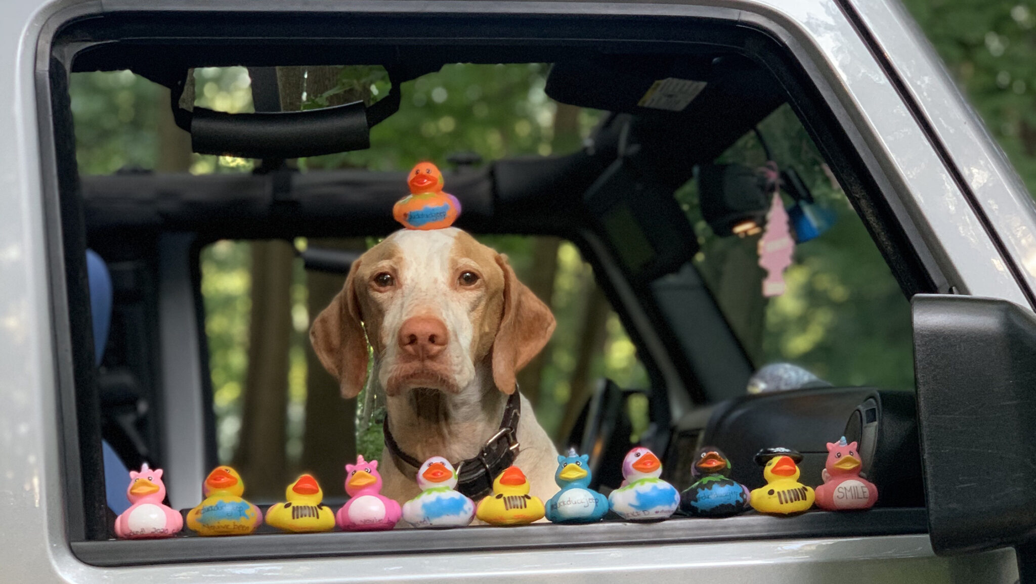 Duck Duck Jeep®: Jeep Brand Makes Waves At The Detroit Auto Show ...