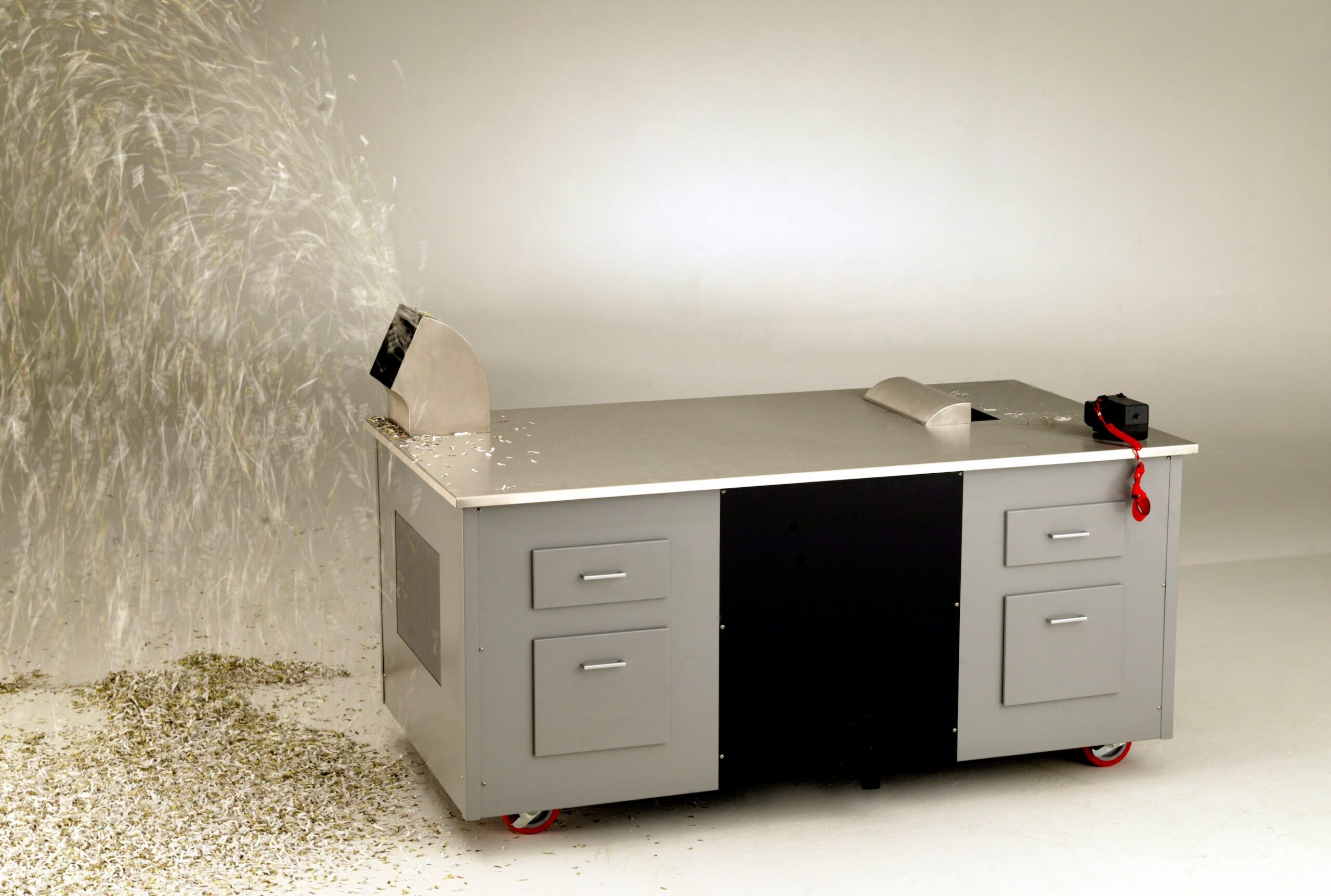 HEMI Day - Reflecting on the 2005 "What Can You HEMI?" Contest